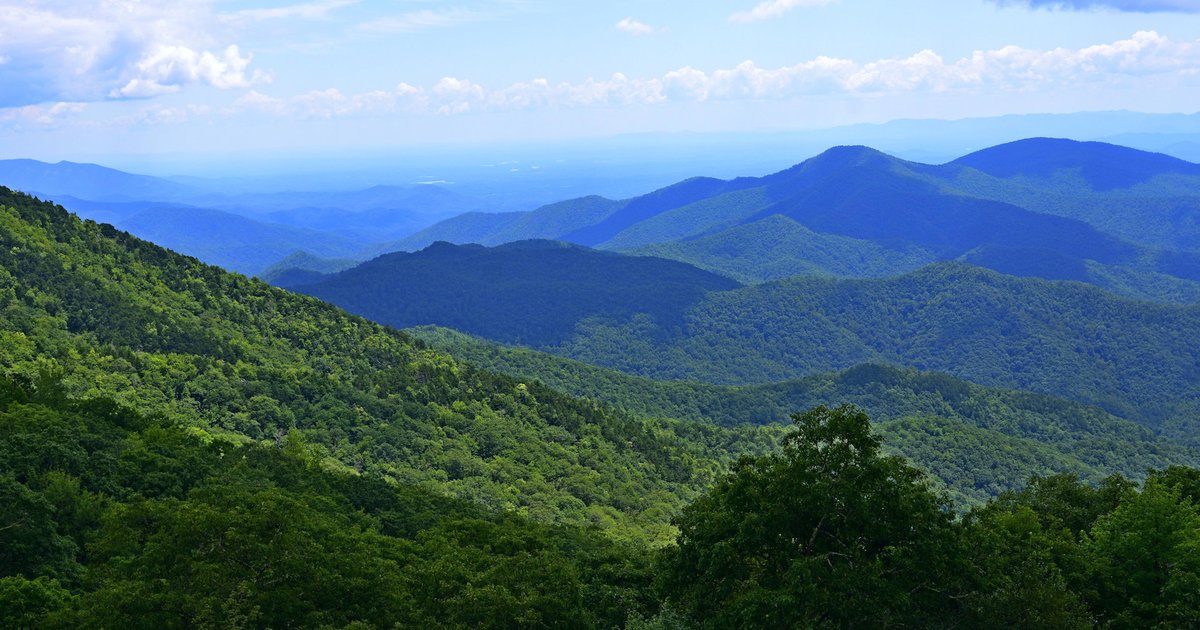 Coy J.W. Fredell Send Flowers | Sossoman Funeral Home