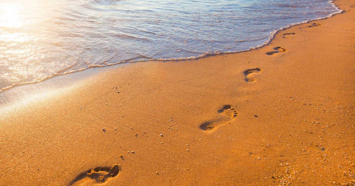 Ruth Reed Obituary 2025 | Sossoman Funeral Home