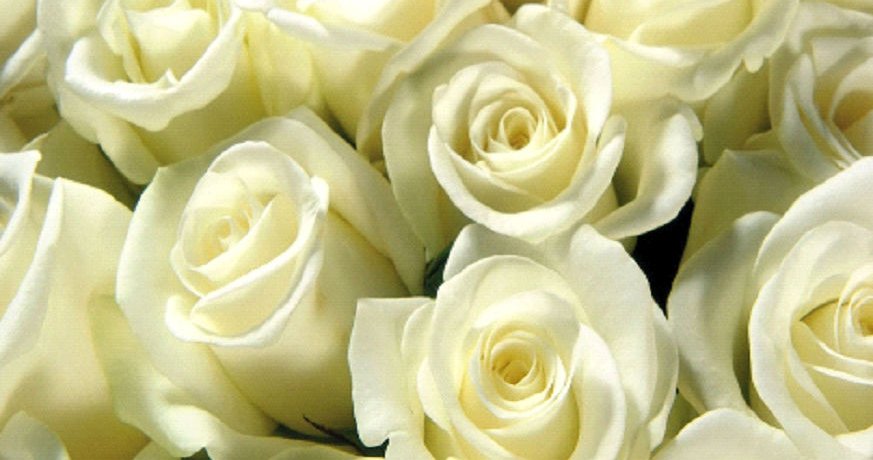 Mary Grace Haller Obituary 2025 | Sossoman Funeral Home